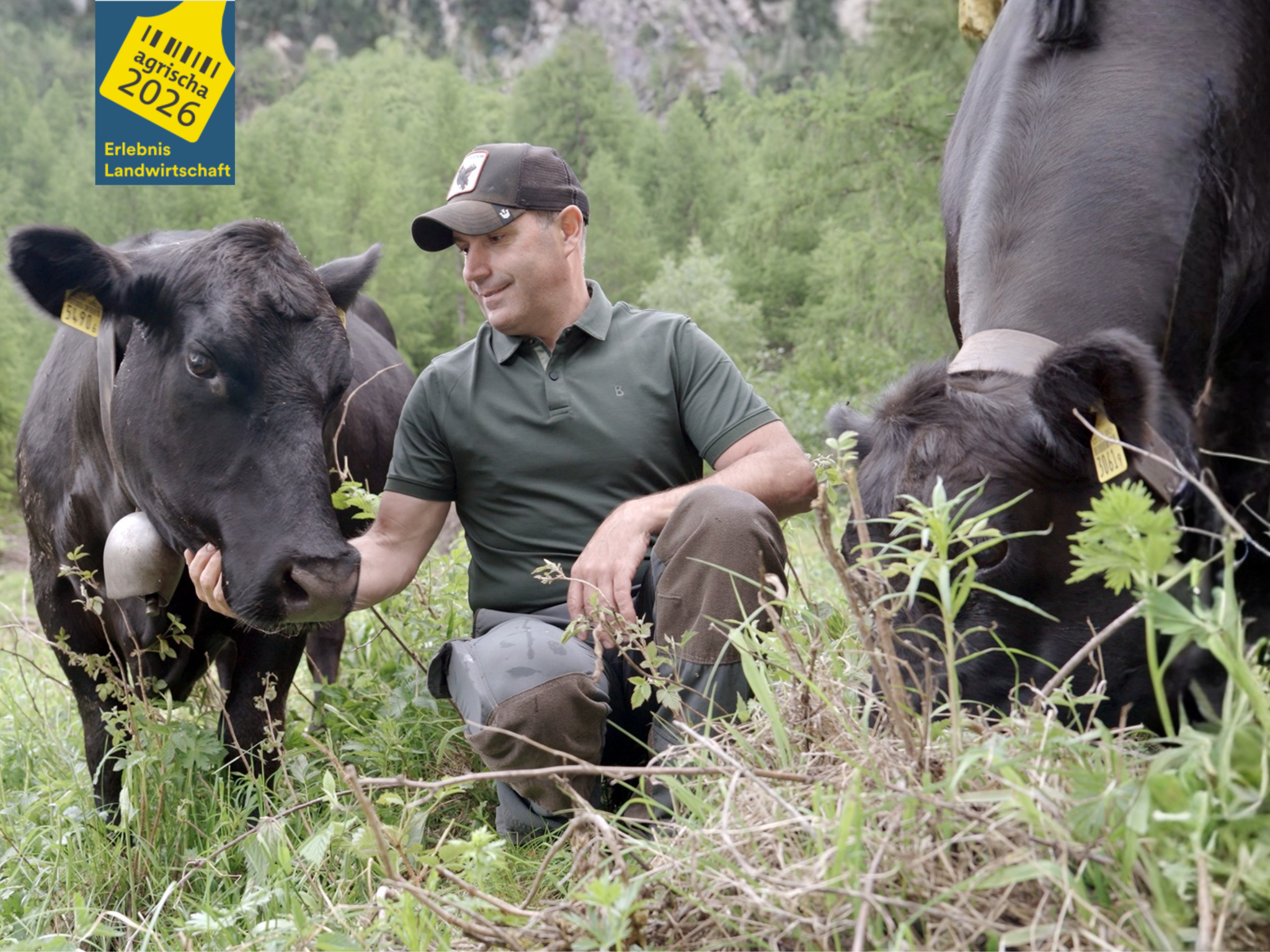 AGRISCHA SPEZIAL - Hotel Baer & Post